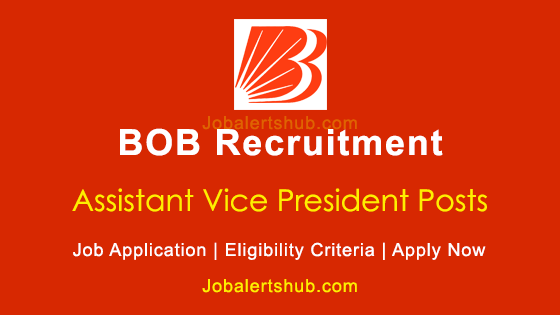 BOB Assistant Vice President Posts 2025 Job Notification