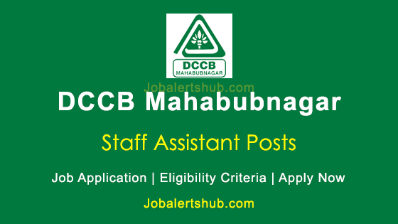 DCCB Recruitment 2025 - 182 Latest DCCB Job Notifications