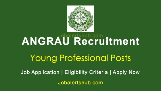 ANGRAU Young Professional 2023 Job Notification