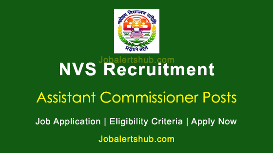 NVS Assistant Commissioner 2023 Job Notification