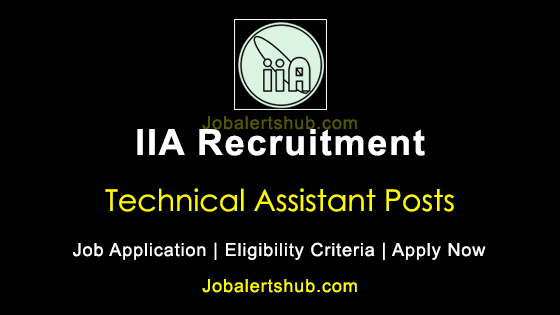 IIA Technical Assistant 2024 Job Notification