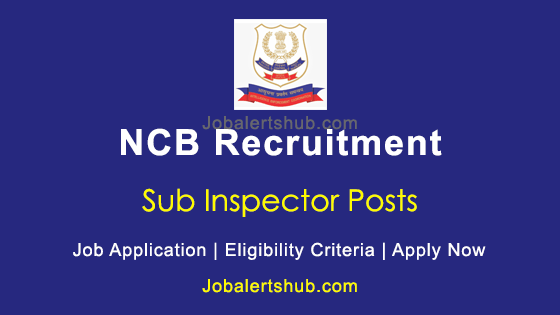 JobAlertsHub: India’s Leading Free Job Alert 2025 Portal