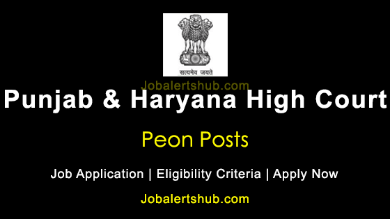 PHHC Chandigarh Peon 2024 Job Notification