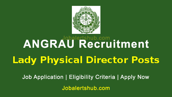 ANGRAU Lady Physical Director 2025 Job Notification