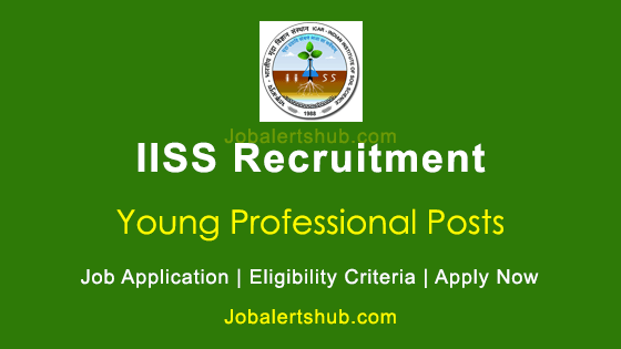 IISS Young Professional 2025 Job Notification