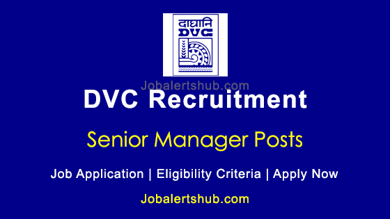 Damodar Valley Corporation Senior Manager 2026 – Apply Online ...