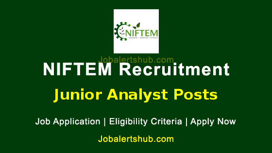 NIFTEM Junior Analyst (CIL) 2025 Job Notification