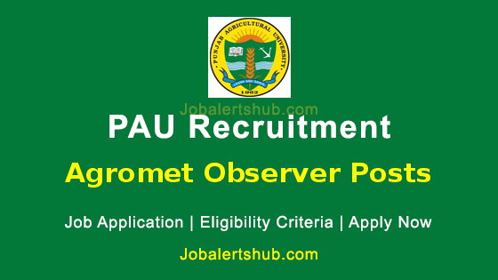 PAU Agromet Observer 2025 Job Notification