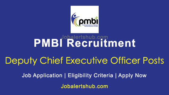 PMBI Deputy Chief Executive Officer 2025 Job Notification