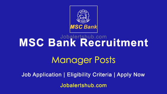 JobAlertsHub: India’s Leading Free Job Alert 2025 Portal