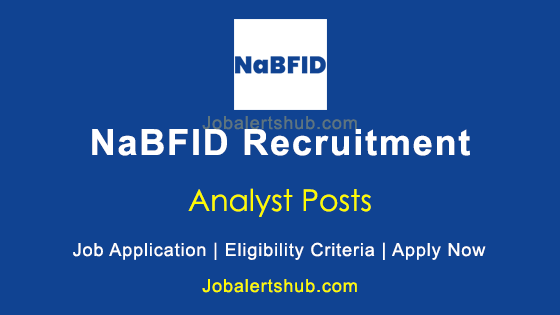 NaBFID Analyst 2025 Job Notification