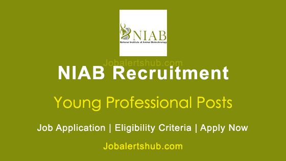 NIAB Young Professional 2025 Job Notification