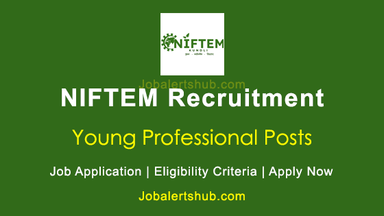 NIFTEM Kundli Young Professional 2025 Job Notification